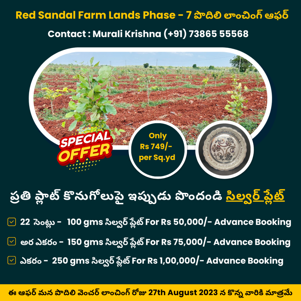 Phase 7 Podili Venture – Red Sandal Farm Lands